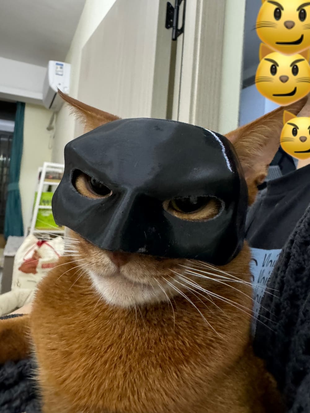 The Purrfect Cat Batman Mask | 3DSPRO